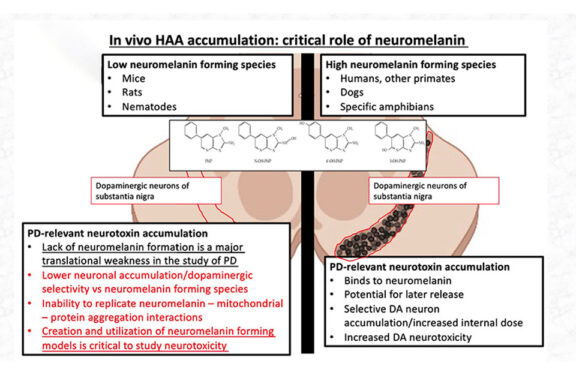 Research - Cannon Lab of Experimental and Translational Neurotoxicology