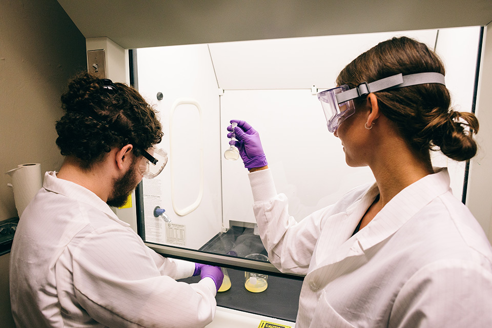 New Page - HHS Research Registry