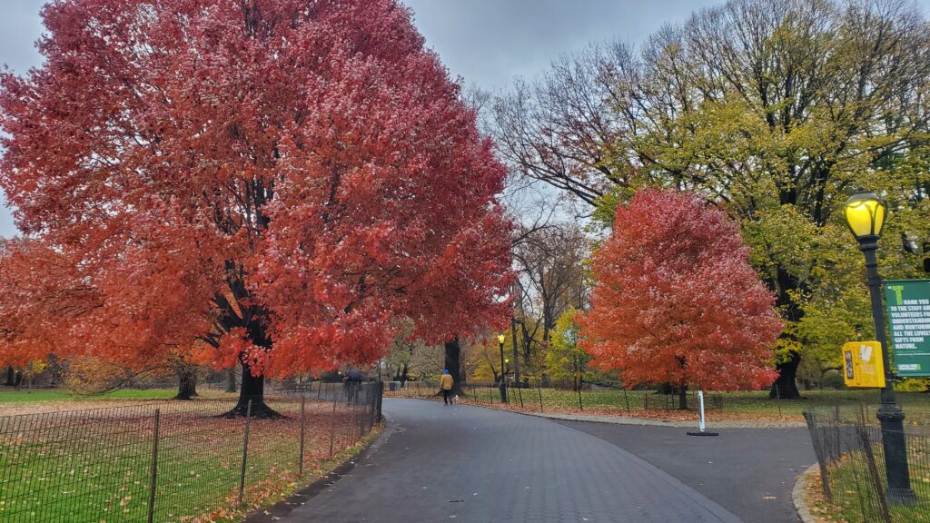 Lab Activities - Skill, Learning, and Performance Laboratory