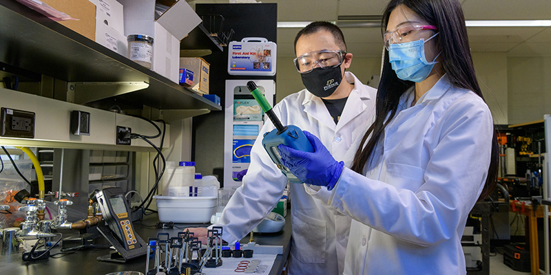 Occupational and Environmental Health Sciences Graduate Program ...